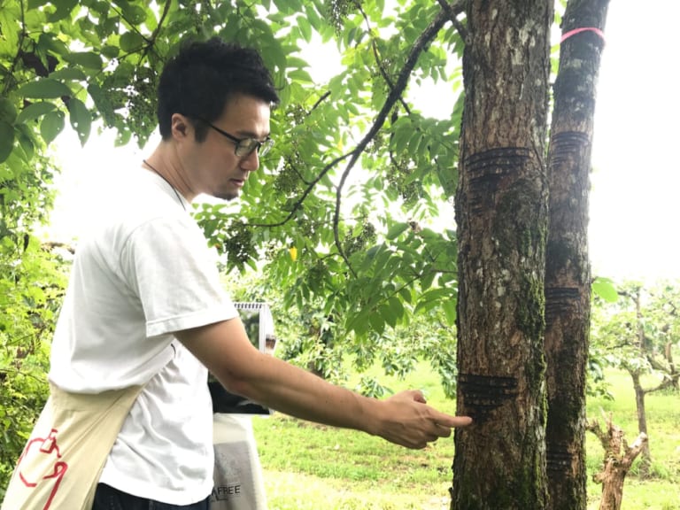 Aizu Urushi Tour Guided by Artisans - Beauty Of Japan
