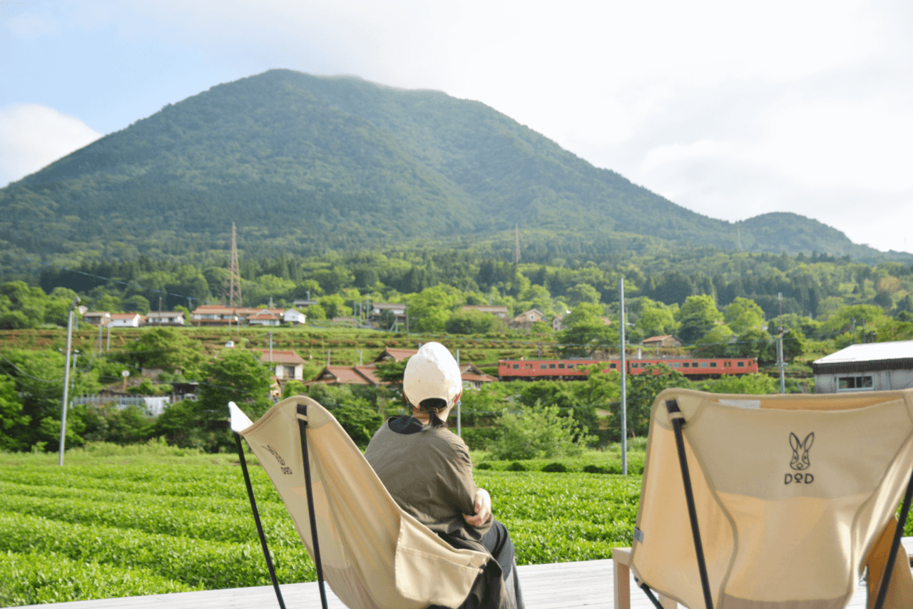 Enjoy a Sencha tea experience with a panoramic view of tea fields at ...