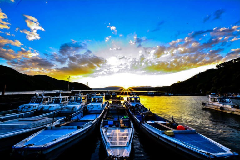 Beauty Of Japan - One of the Japan's Biggest Cultural Experience and ...